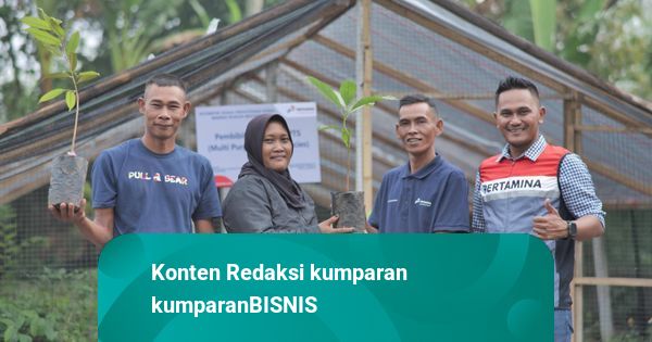 Bagian dari Perhutanan Sosial, Hutan Pertamina Tanam Lebih Enam Juta Pohon | kumparan.com